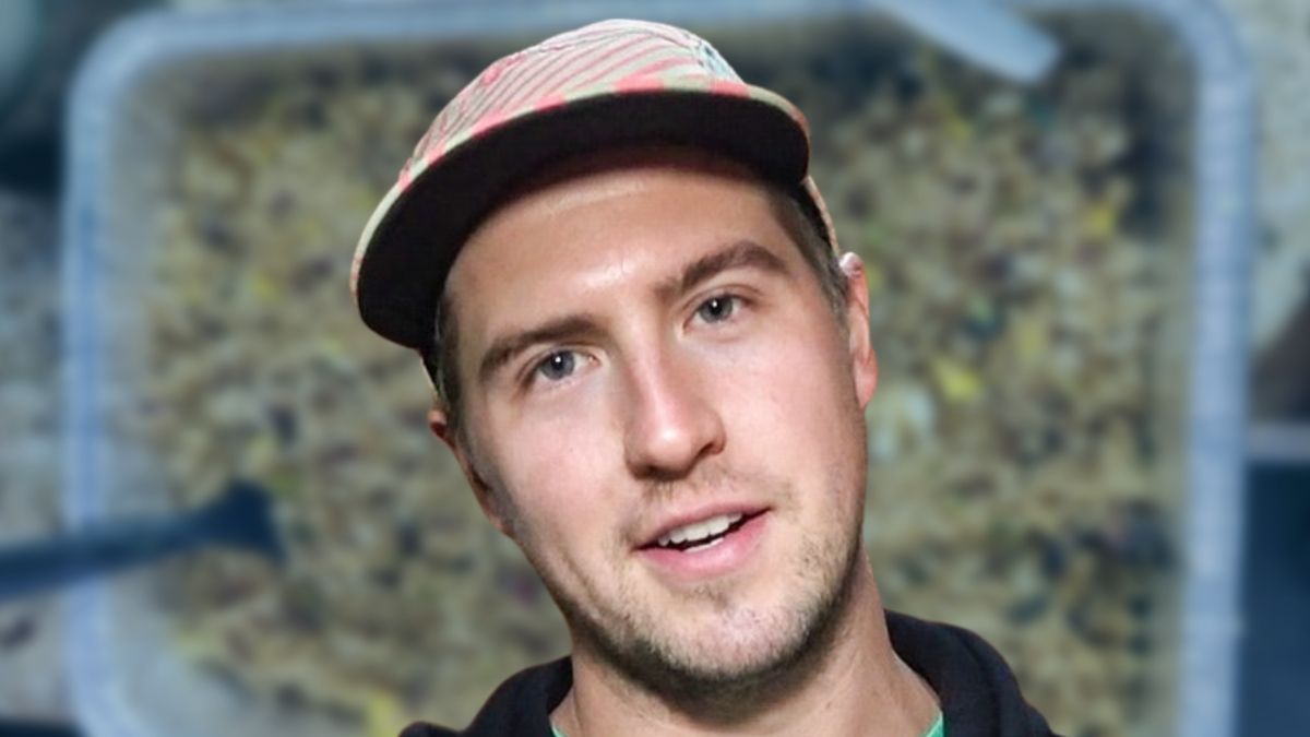 Rare Americans Make Chicken Fried Rice on Their Bus - COOKING AT 65MPH ...