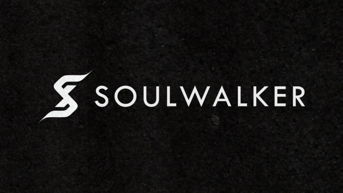 Soulwalker - FIRST CONCERT EVER