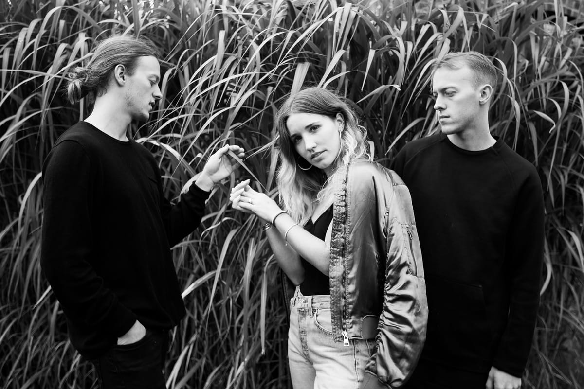 SHAED – TOUR TIPS – Digital Tour Bus