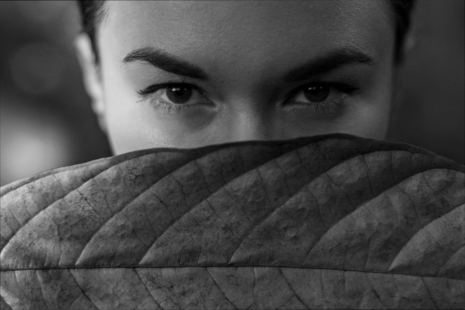 LUHA – DREAM TOUR – Digital Tour Bus